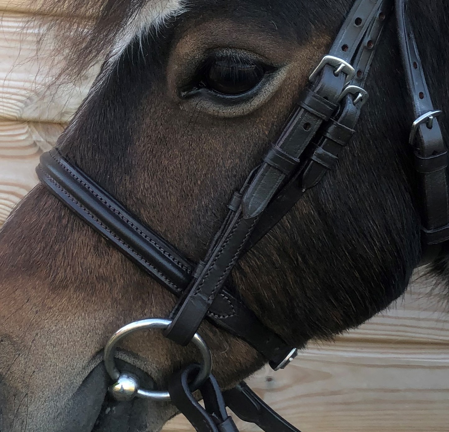 Padded Leather Snaffle Bridle