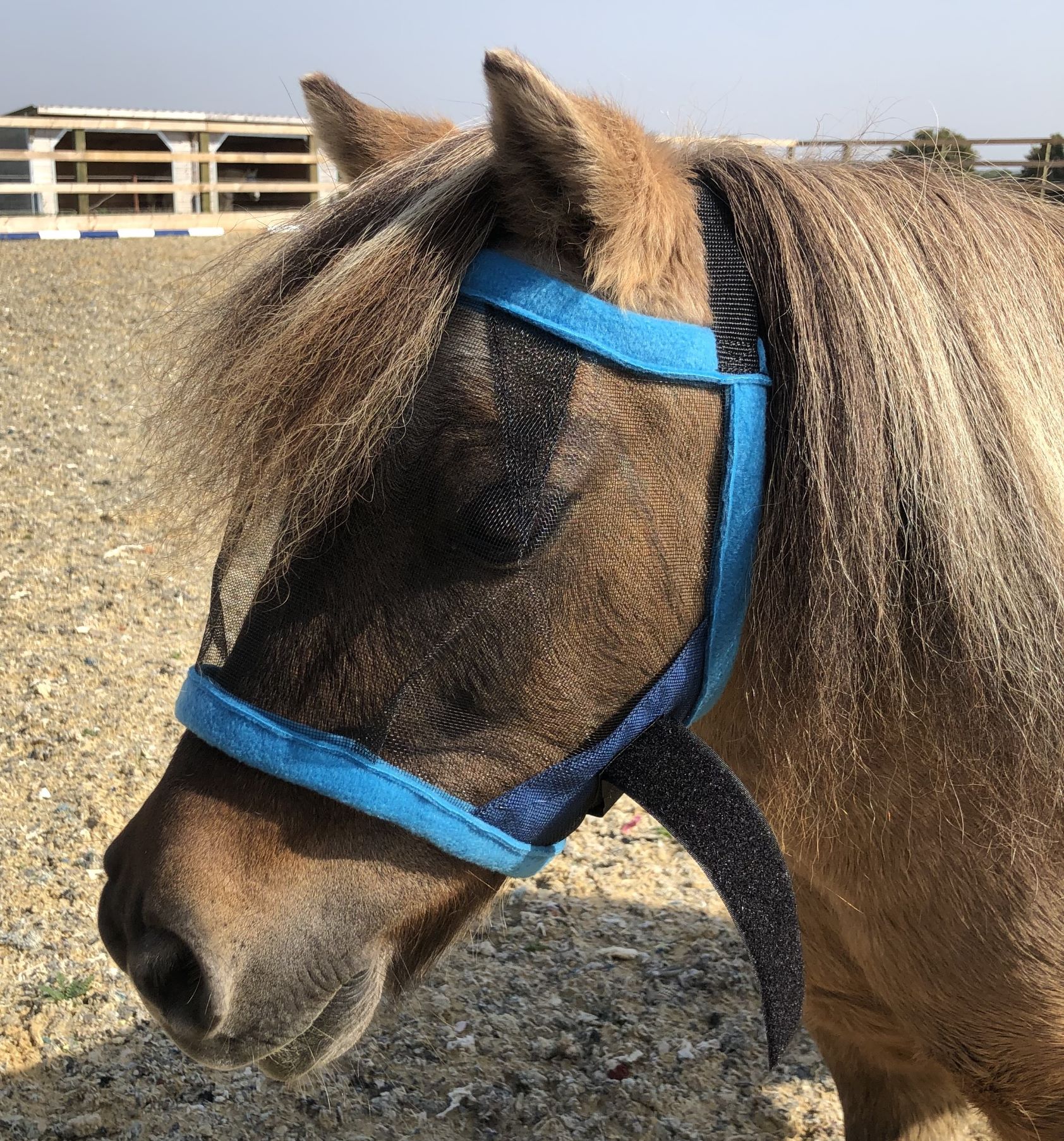 Dinky Ultra-Fine Standard Fly Mask: S Aqua