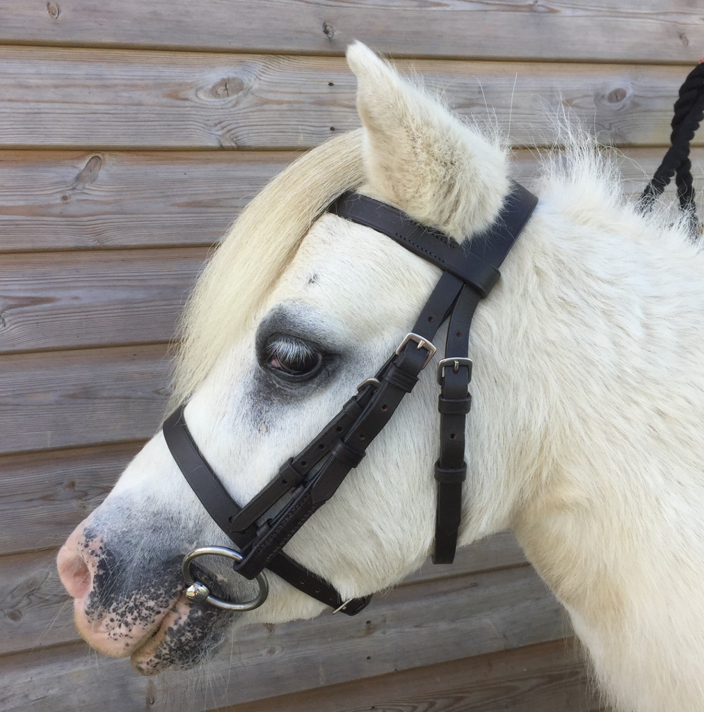 Plain Leather Snaffle Bridle